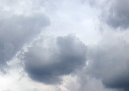 moist and curly brain – Poems for THE LIST (eners)