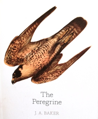 always churn this charm: thinking of JA Baker – Poems for THE LIST (eners)