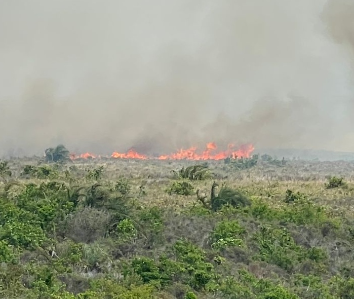 Bush Fire – Poems for THE LIST (eners)